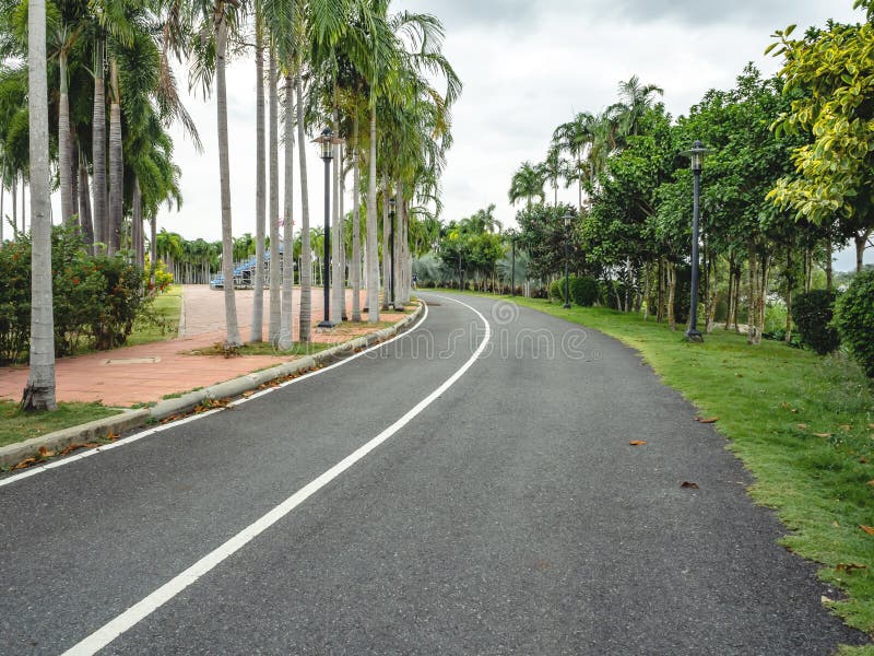Road, Walkway and Running in the Park Stock Photo - Image of sunlight ...