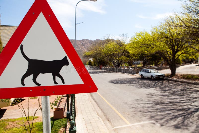 Road Warning Sign Indicating Cats are Crossing Stock Image - Image of ...