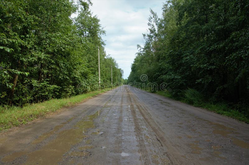 Road Washed Out after Rain between the Forest Stock Photo - Image of ...