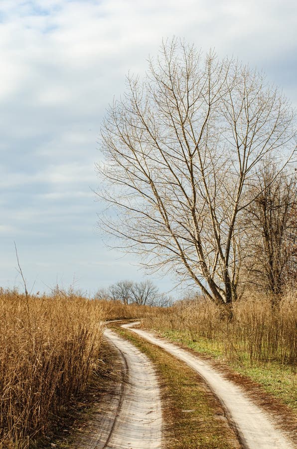 Road, way forward stock photo. Image of color, cloud - 190311478