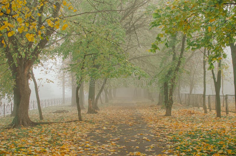 Road, way forward stock image. Image of country, grass - 190310471