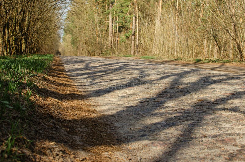 Road, way forward stock photo. Image of race, grass - 190310760