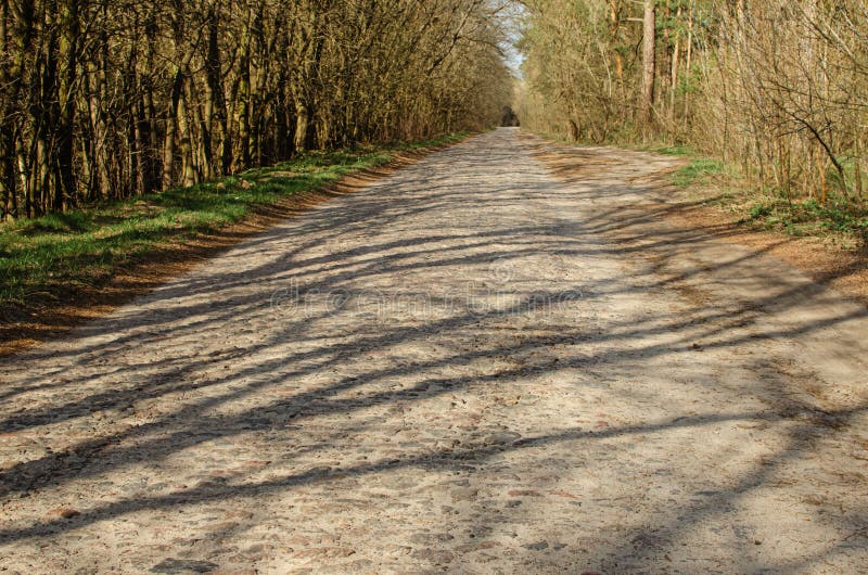 Road, way forward stock image. Image of green, highway - 190310763
