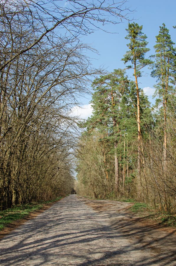 Road, way forward stock image. Image of path, freeway - 190310773