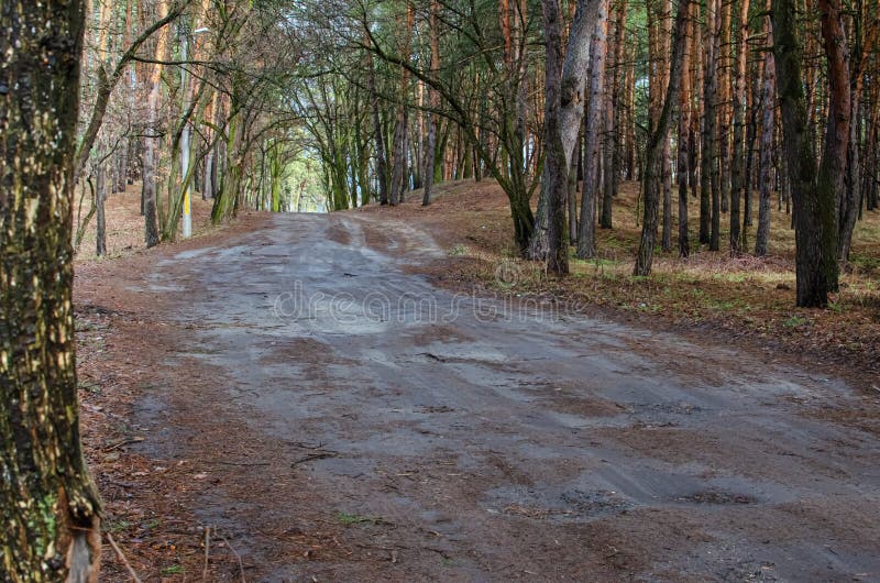 Road, way forward stock image. Image of blue, mist, path - 190310839