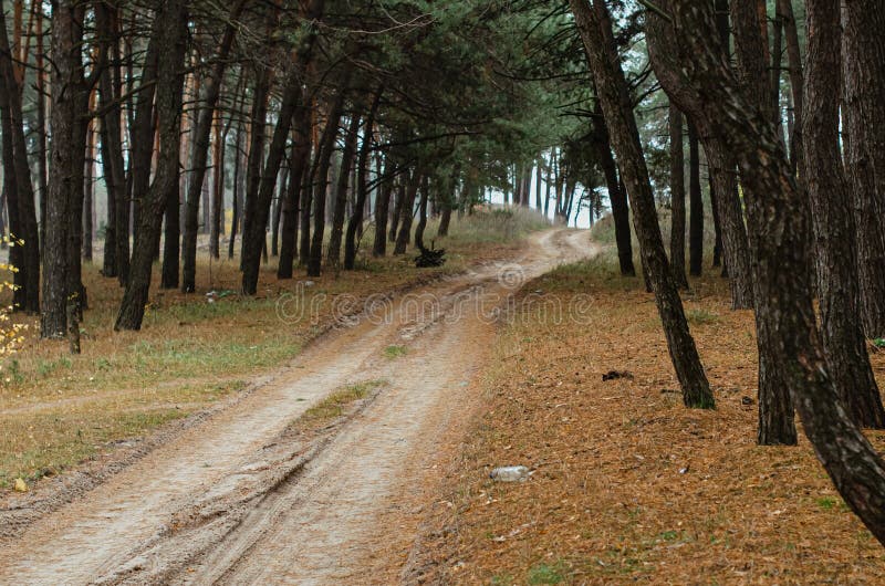 Road, way forward stock image. Image of rural, hill - 190311169