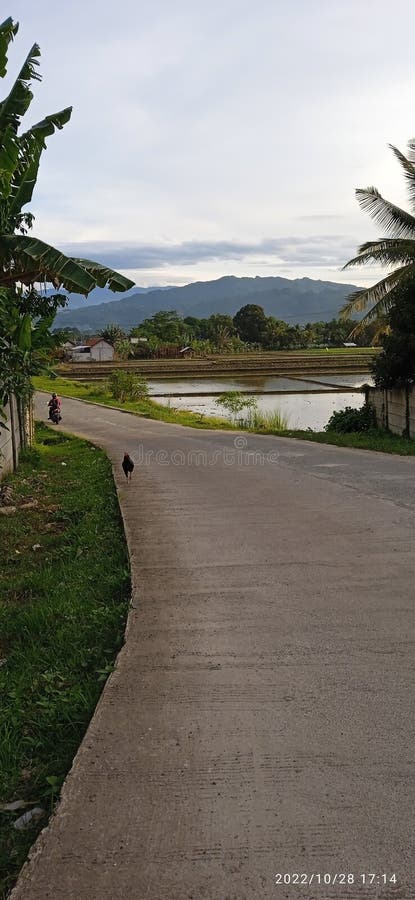 Road way going home stock photo. Image of town, coast - 268036838