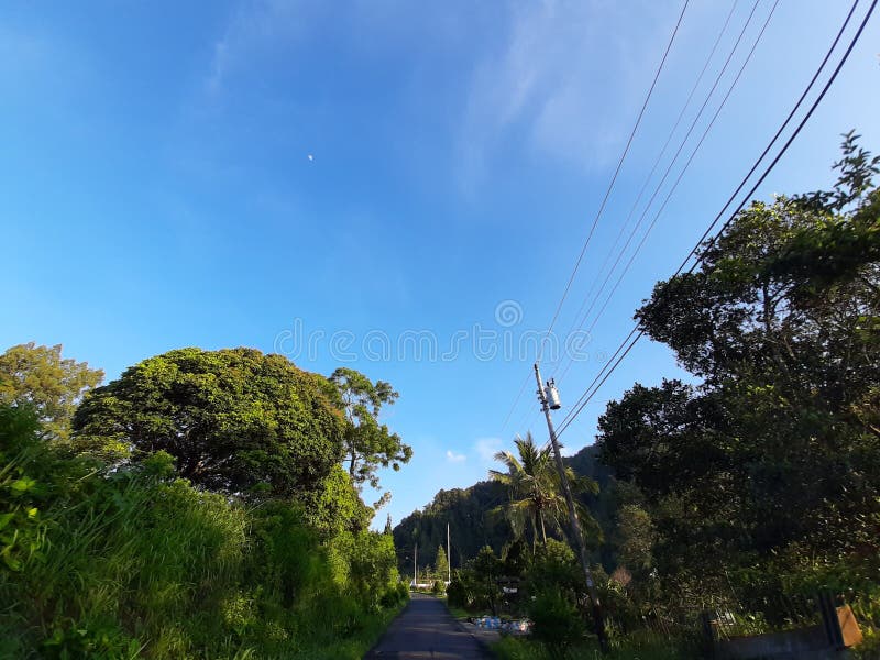 Road way stock image. Image of path, leaf, plant, waterway - 215115753