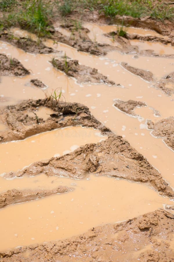 Dirty and Muddy Road Texture Stock Image - Image of field, rough: 98148537
