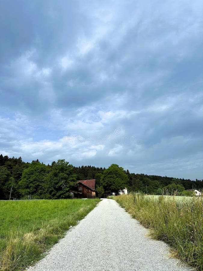 9,078 Wheat Fields Road Stock Photos - Free & Royalty-Free Stock Photos ...