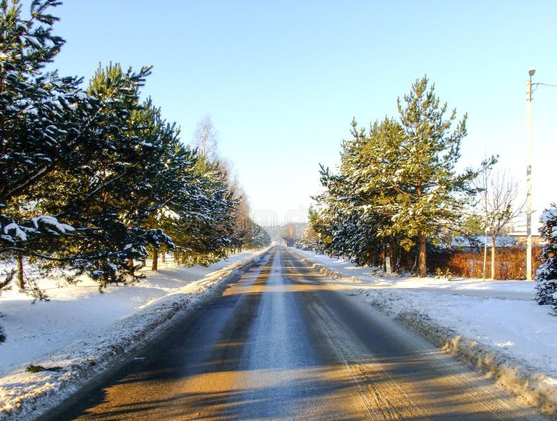 Road through White Winter Forest Stock Photo - Image of wood ...