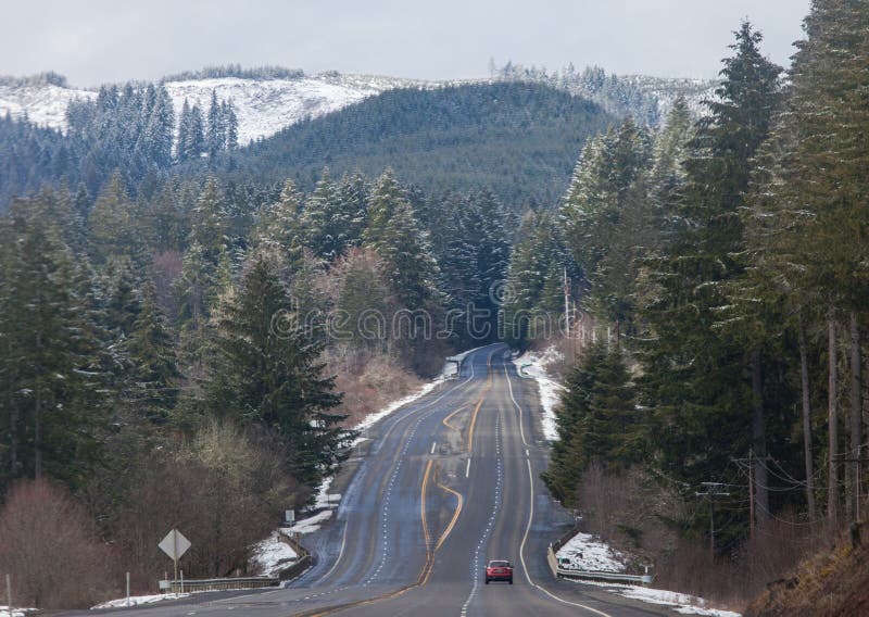 Road in wilderness stock photo. Image of nature, surface - 191229654