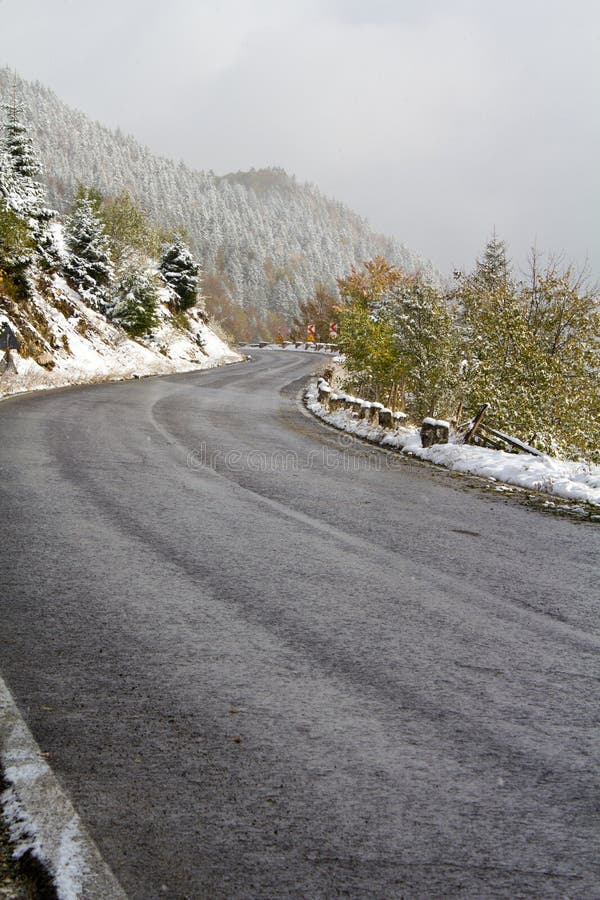 Road in winter stock photo. Image of limbs, covers, covering - 21688592