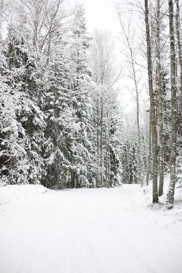 Danish winter stock image. Image of snowing, tree, white - 1108307
