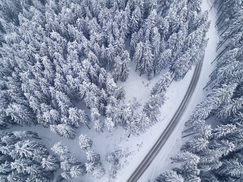 Road in Winter Forest Bird`s Eye View Stock Photo - Image of bright ...