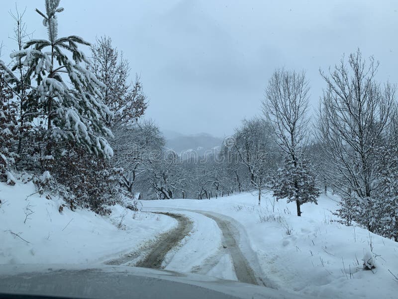 The Road through the Winter Forest. a Path in the Mountains Along a ...