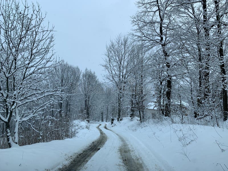 The Road through the Winter Forest. a Path in the Mountains Along a ...