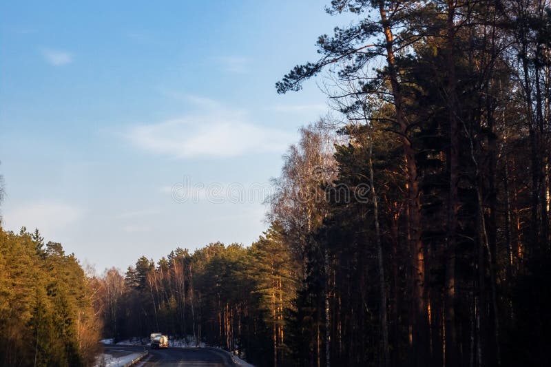 Road and Winter Forest with Yellow Trees Stock Image - Image of ...