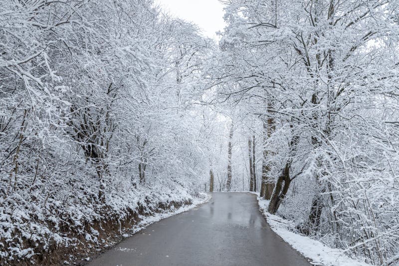 A Road through Winter Landscape with Snow-covered Trees Stock Image ...