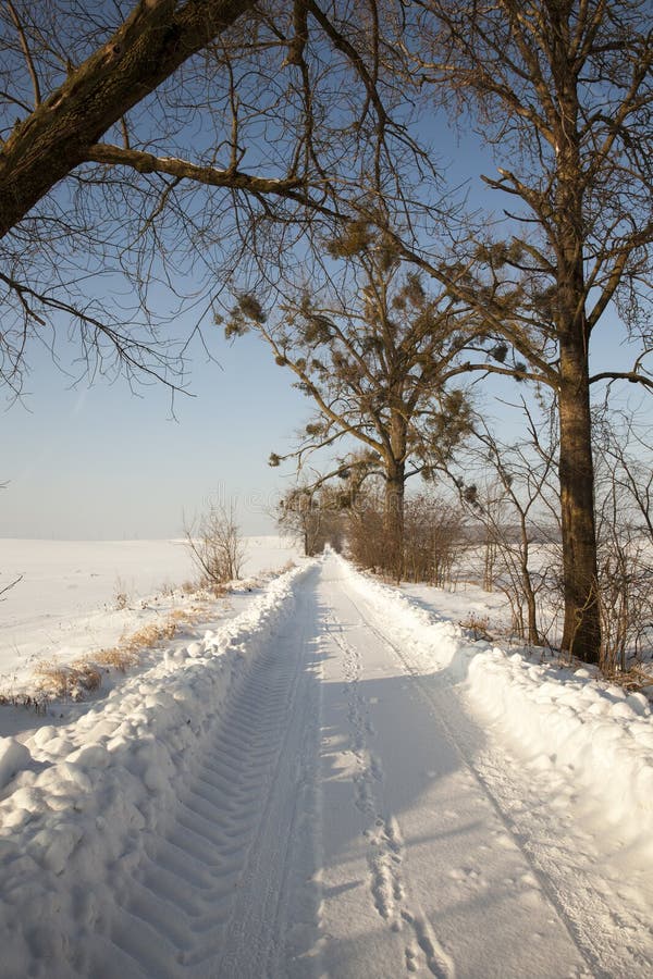 Road in the Winter Season, Snowfall in the Winter Season Stock Photo ...
