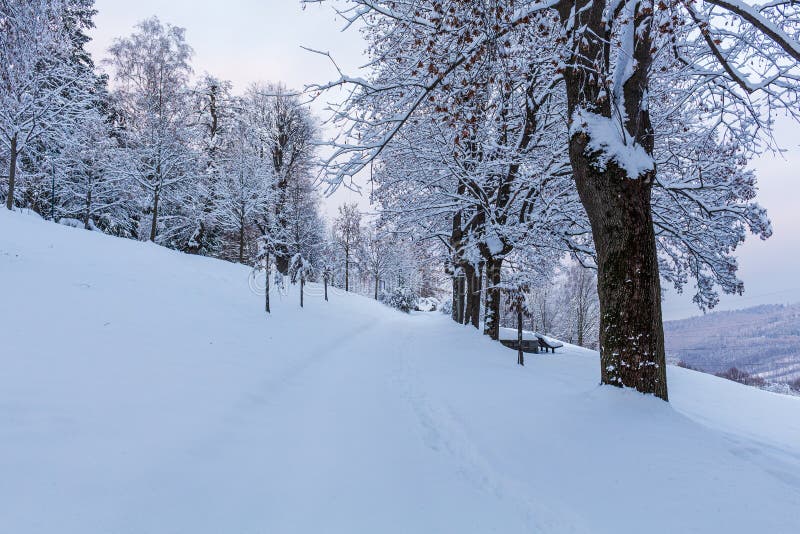 The Road through the Winter, Snowy Forest. Trees in the Snow Stock ...