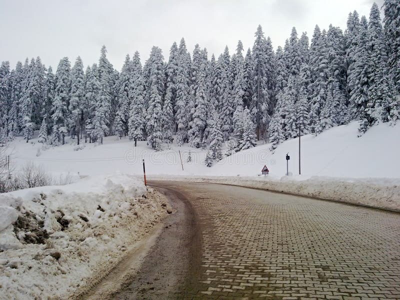 Road through Wintry forest stock photo. Image of distance - 20440610