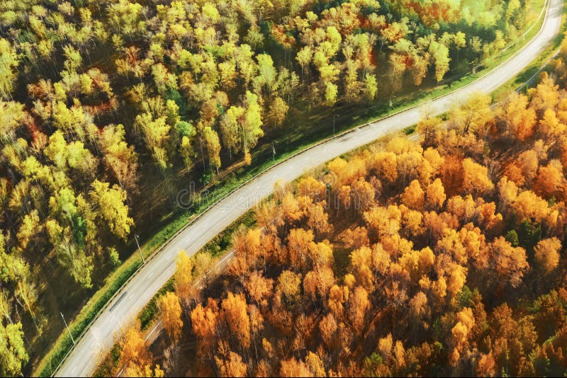 The Road through the Wonderful Autumn Summer Forest. the Change of ...