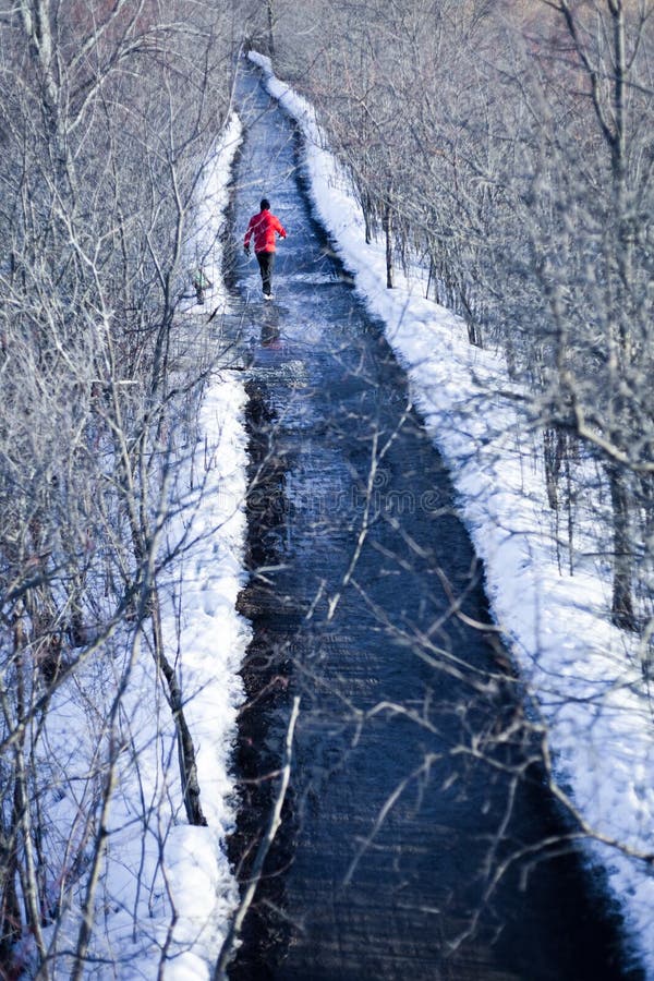 The road in the woods stock photo. Image of woods, pavement - 30046040