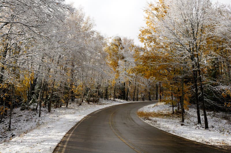 Road And Woods After Late Fall Snow Stock Photo - Image of yellow ...