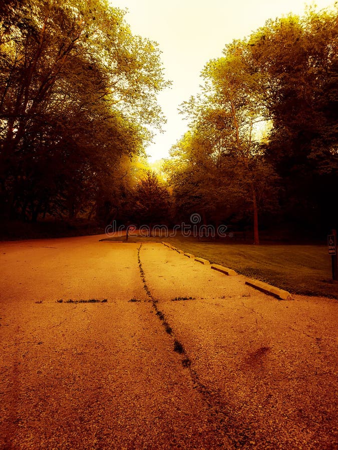 Dream Road stock photo. Image of woods, sunset, park - 254461514