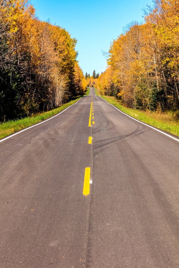 A Road with Yellow Lines and Trees in the Background Stock Image ...