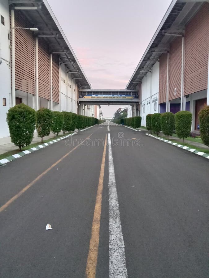 Road with Yellow and White Double Lines Stock Image - Image of white ...