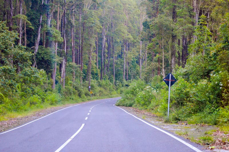 Roads of Java, Indonesia stock photo. Image of road, java - 75113046
