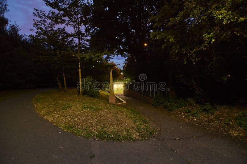 Roads Surrounded by Trees in the Park at Night Stock Image - Image of ...