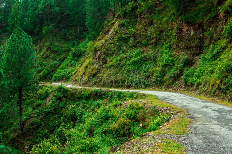 Roads in Uttrakhand stock photo. Image of pass, uttarakhand - 129451254