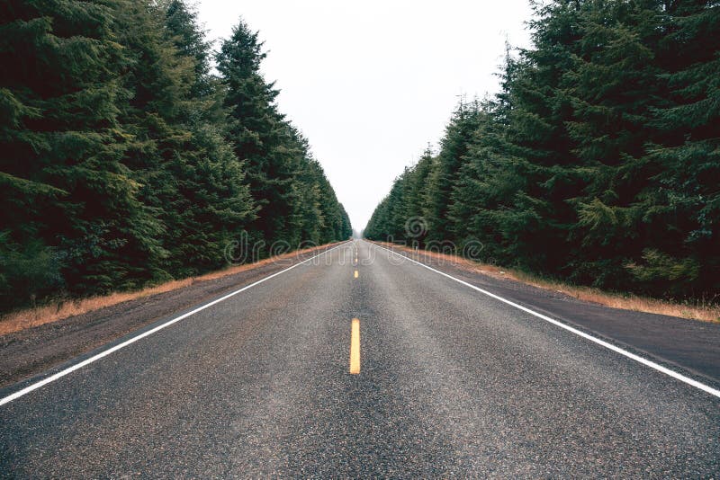 The Roads of Washington State Stock Image - Image of asphalt, pines ...