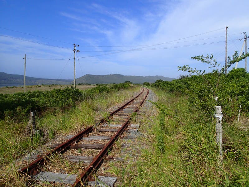 Roads of the World: Tracks through the Planes Stock Photo - Image of ...