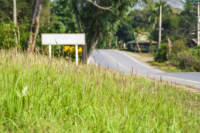 Roadside stock image. Image of grow, foliage, landscape - 26298623