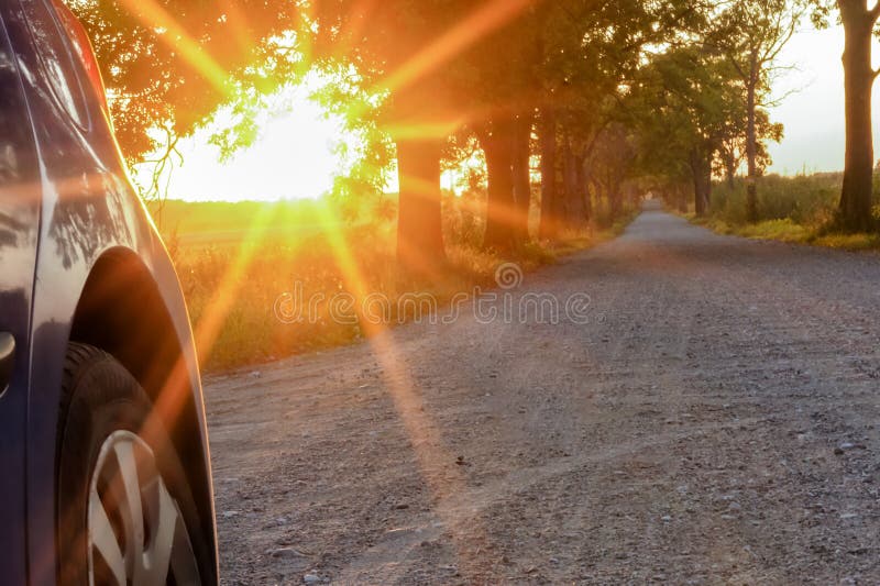 Roadside Alley and Sunset, Country Road in the Rays of the Setting Sun ...