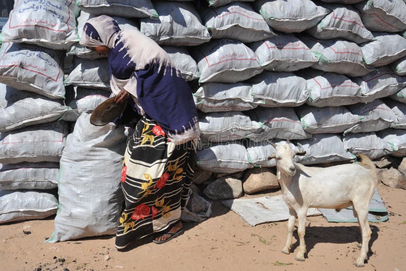 Roadside charcoal trade editorial stock photo. Image of roadside - 38187108