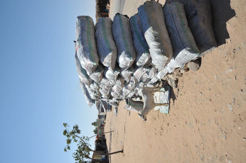 Roadside charcoal trade editorial stock photo. Image of somaliland ...