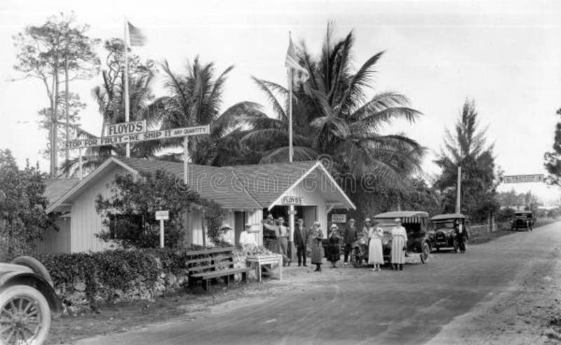 Roadside Citrus Stand: Miami, Florida Picture. Image: 221442780