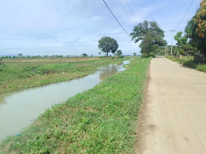 Roadside Fields stock image. Image of agricultural, wetland - 262717527