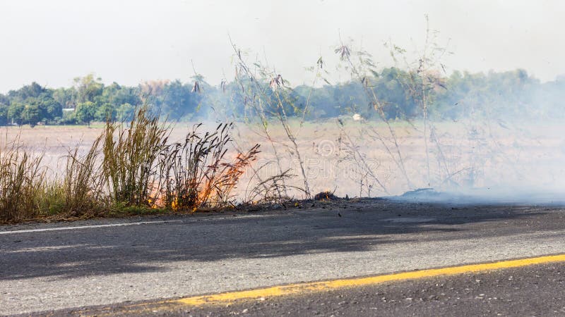 Roadside grass fires. stock image. Image of disaster - 65056185