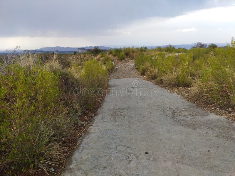 Roadside and landscape stock photo. Image of asphalt - 273429014
