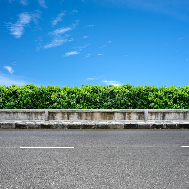 Roadside and pavement stock image. Image of plant, hedge - 27521365