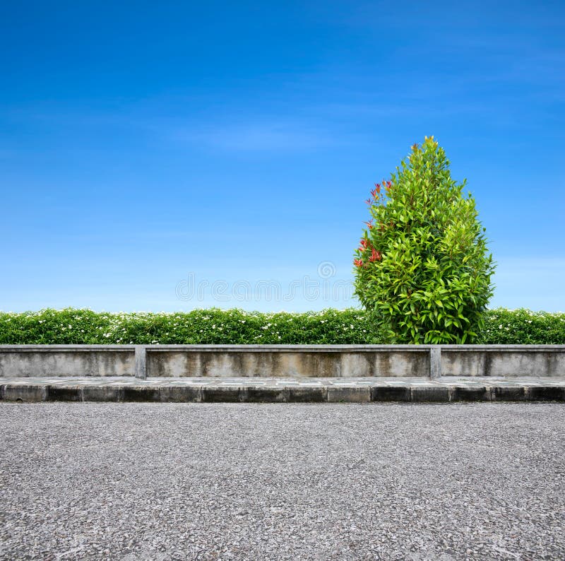Roadside pavement and tree stock image. Image of road - 27756771