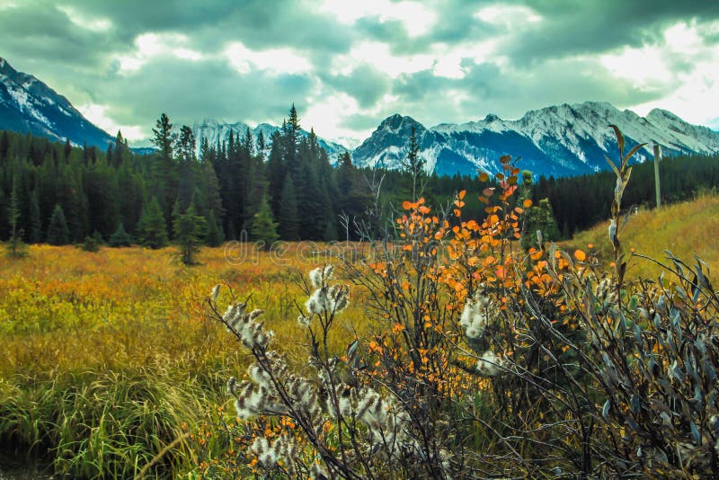 From the Roadside, Peter Lougheed Provincial Park, Alberta, Canada ...