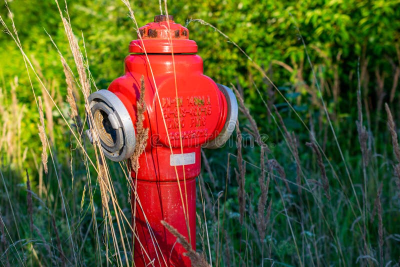Roadside Red Fire Hydrant among Grasses Stock Image - Image of city ...