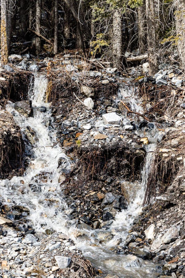 Roadside Run Off. Spray Valley Provincial Park. Alberta Canada Stock ...